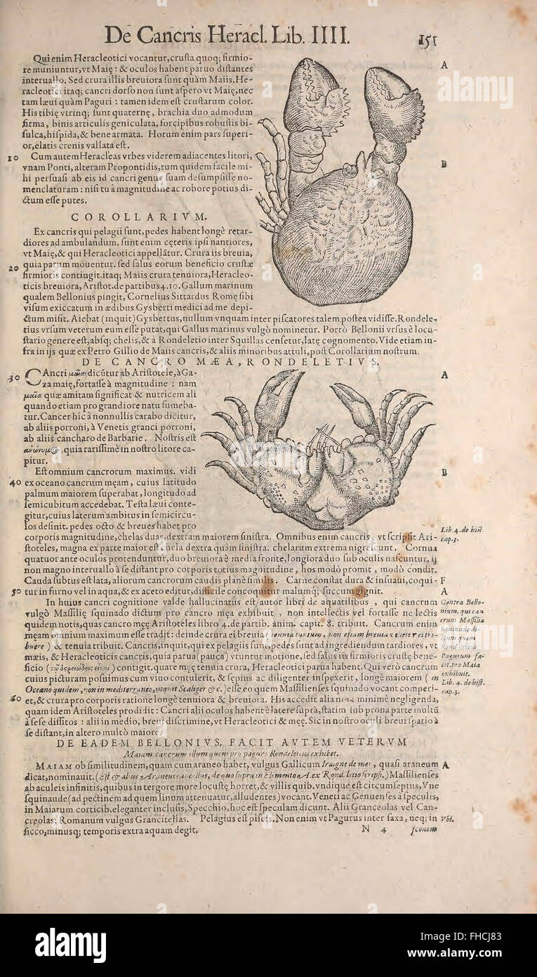 Conrad Gesner's Historiae Animalium, Book IV, published in the 16th ...