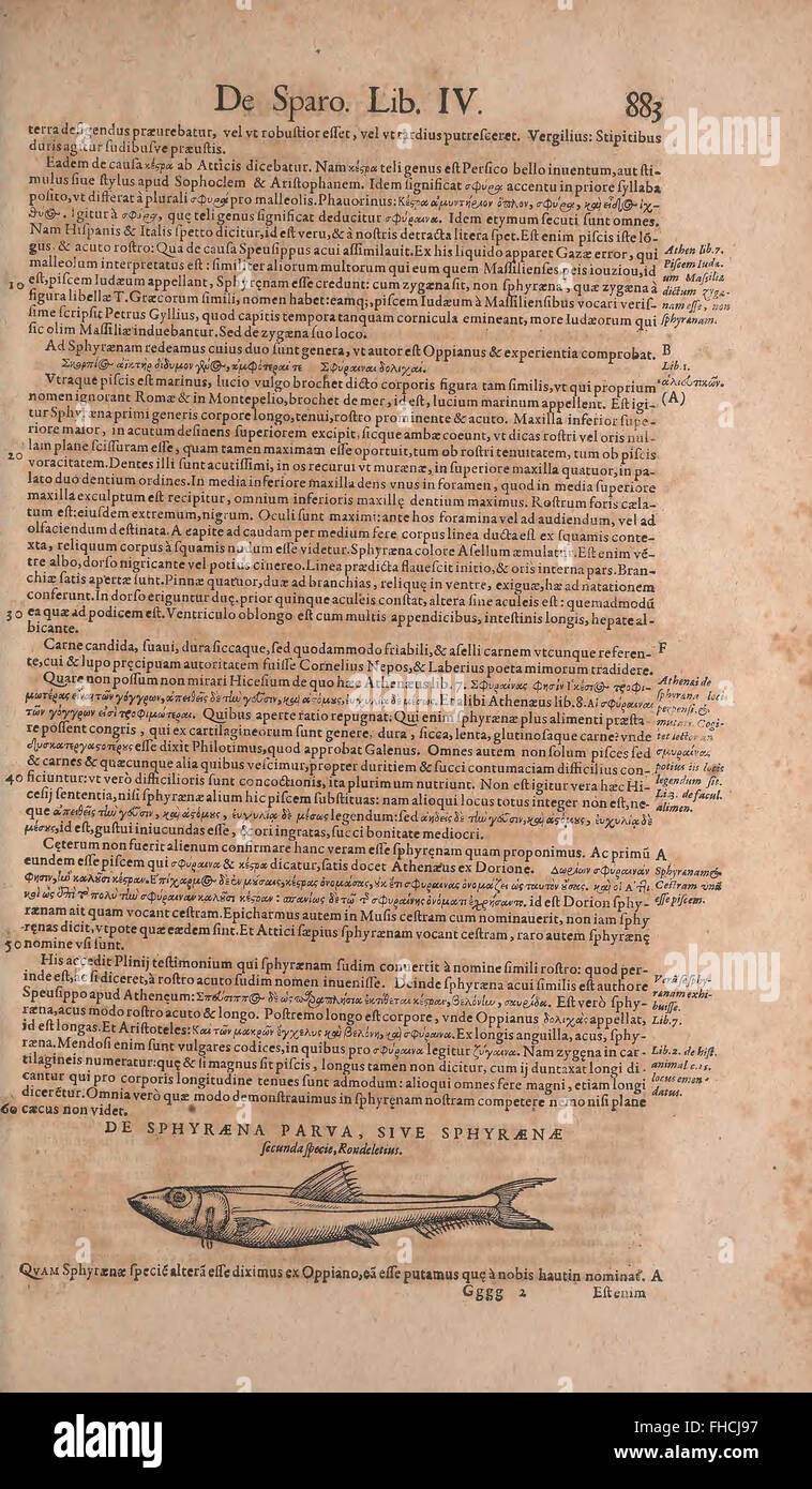 Conrad Gesner’s History of Animals, Book IV, A seminal work on animal ...