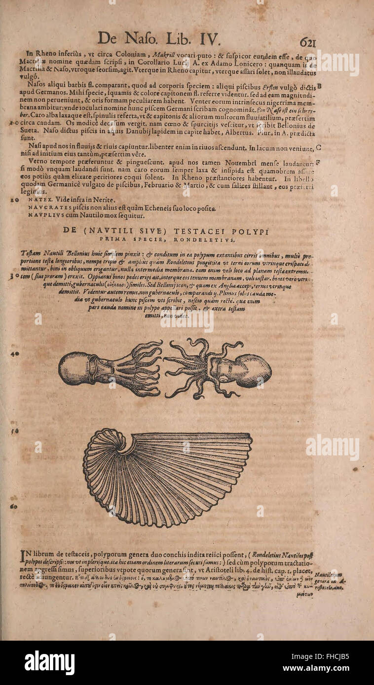 A 16th-century work by Conrad Gesner, focusing on the history of ...