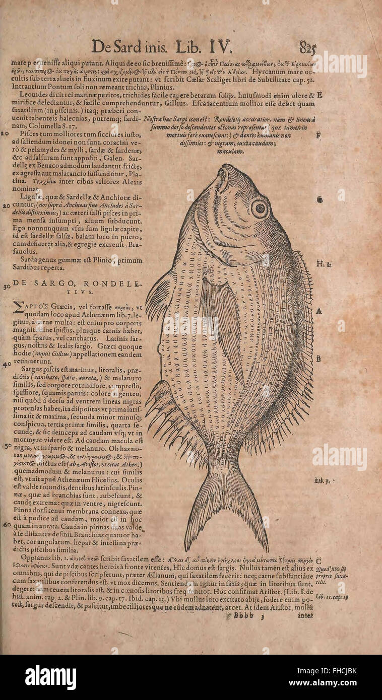 A pre-Linnean work on the history of animals by Conrad Gesner, with a ...