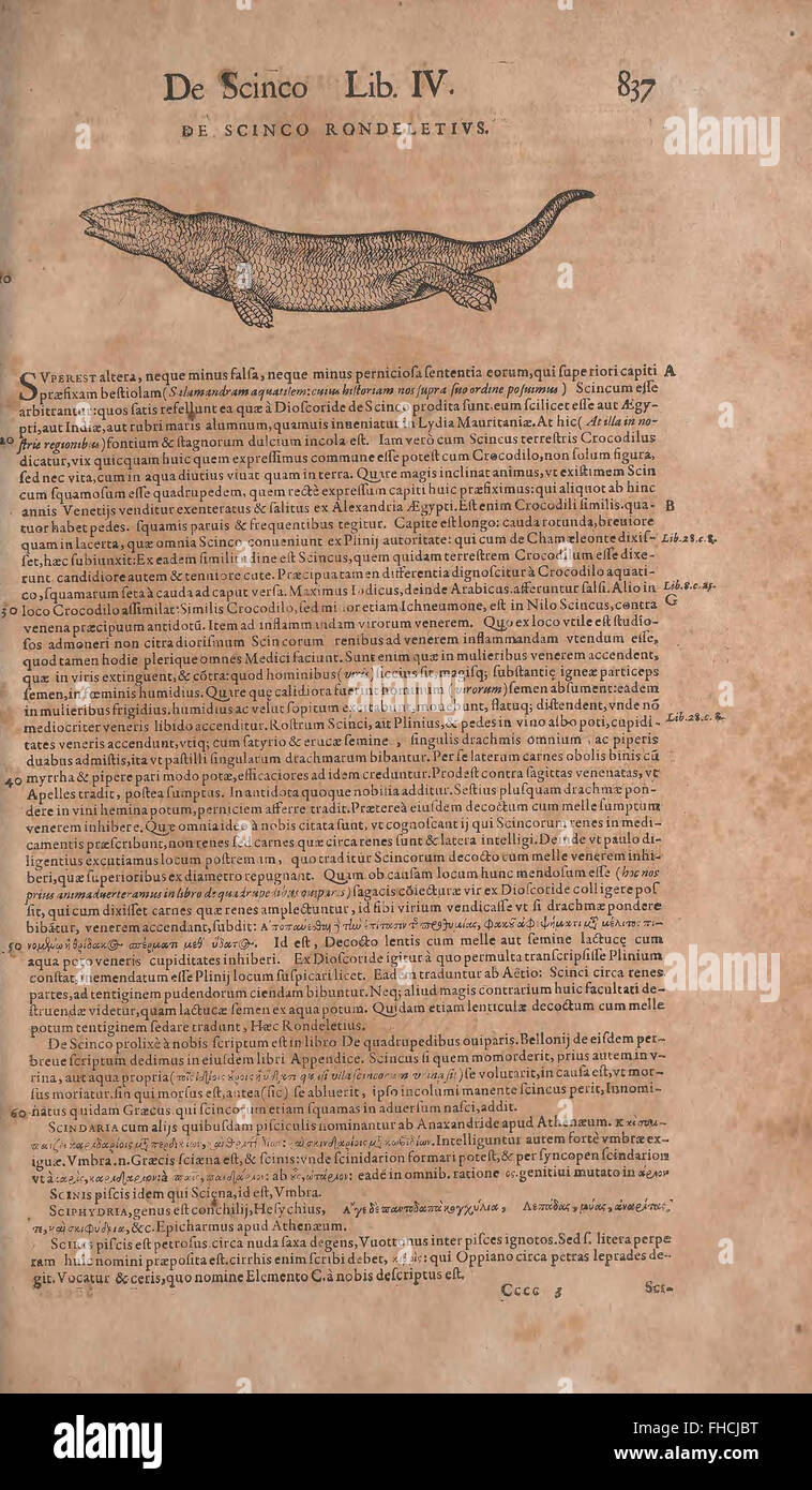Conradi Gesneri’s Historiae Animalium, Book IV, an early 18th-century ...