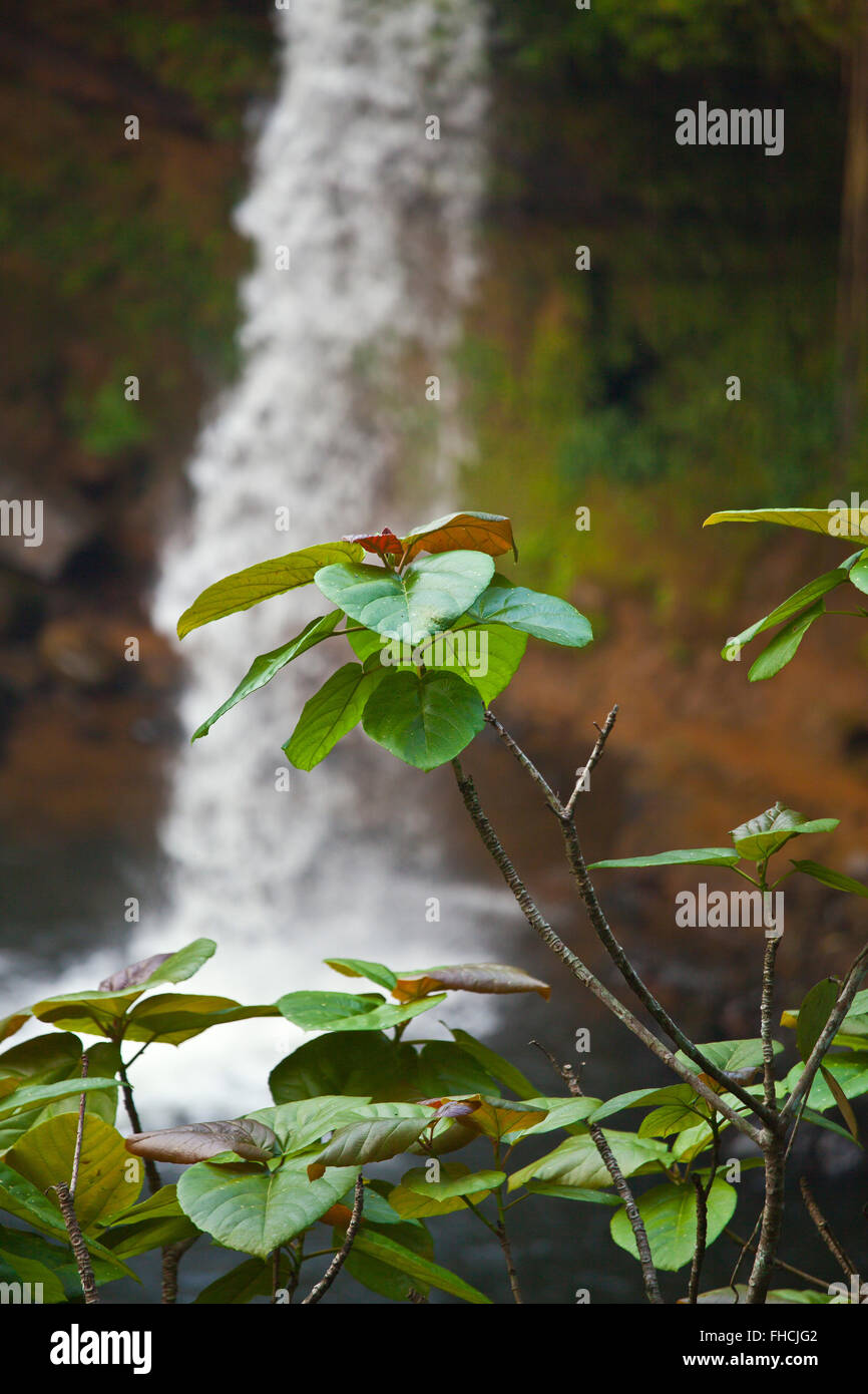 The CHAMPEE WATERFALL is located on the BOLAVEN PLATEAU near PAKSE ...