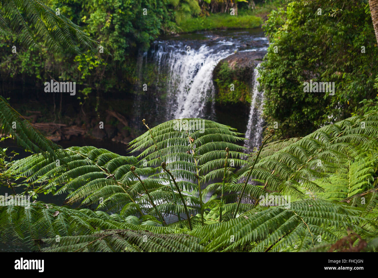 The CHAMPEE WATERFALL is located on the BOLAVEN PLATEAU near PAKSE ...