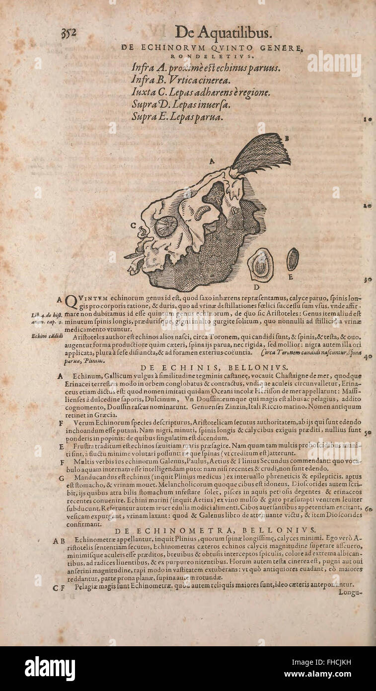 A foundational zoological work by Conrad Gesner, focusing on animal ...