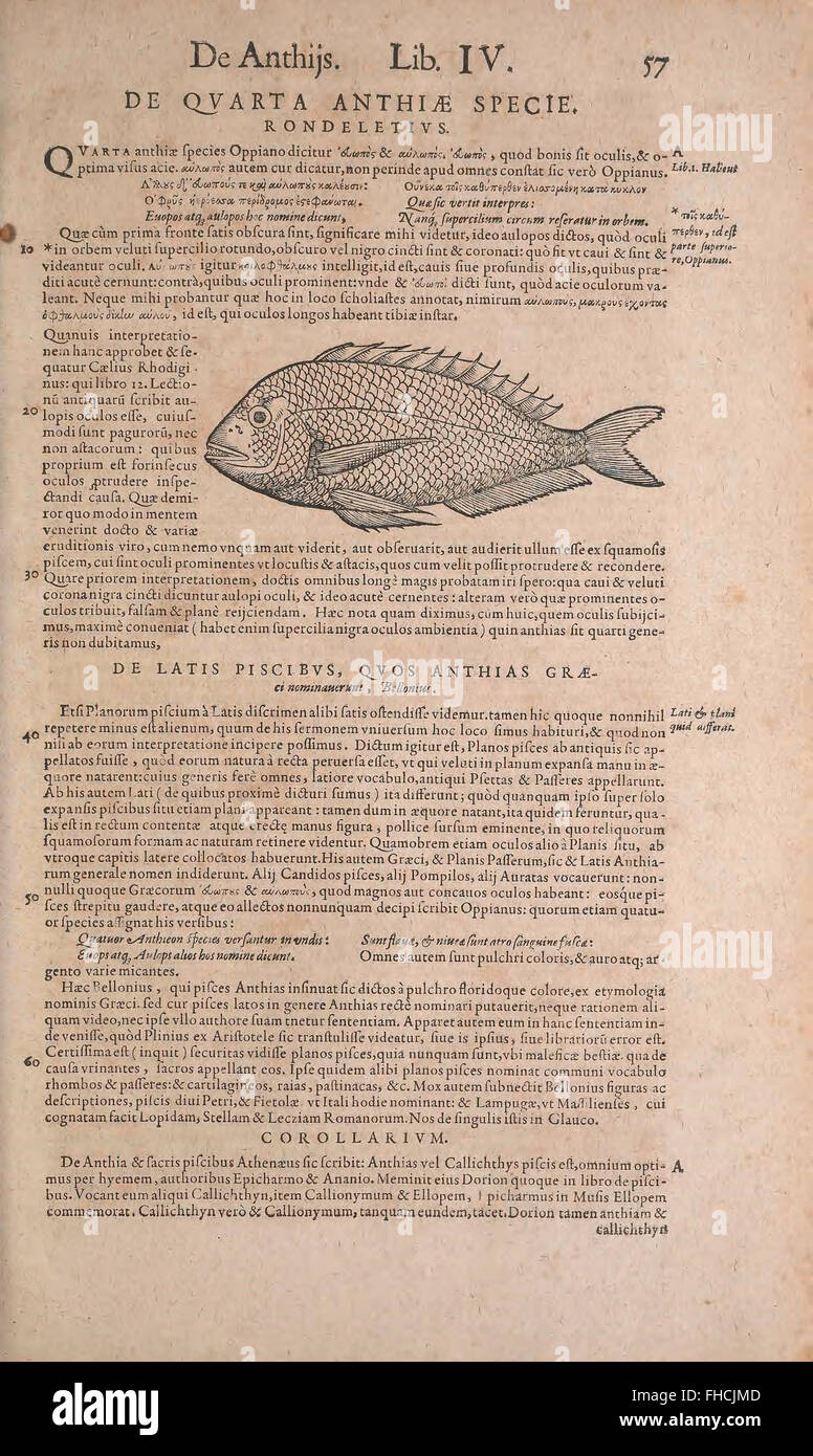 Conradi Gesneri's Historiae animalium liber IV, a pre-Linnaean work ...