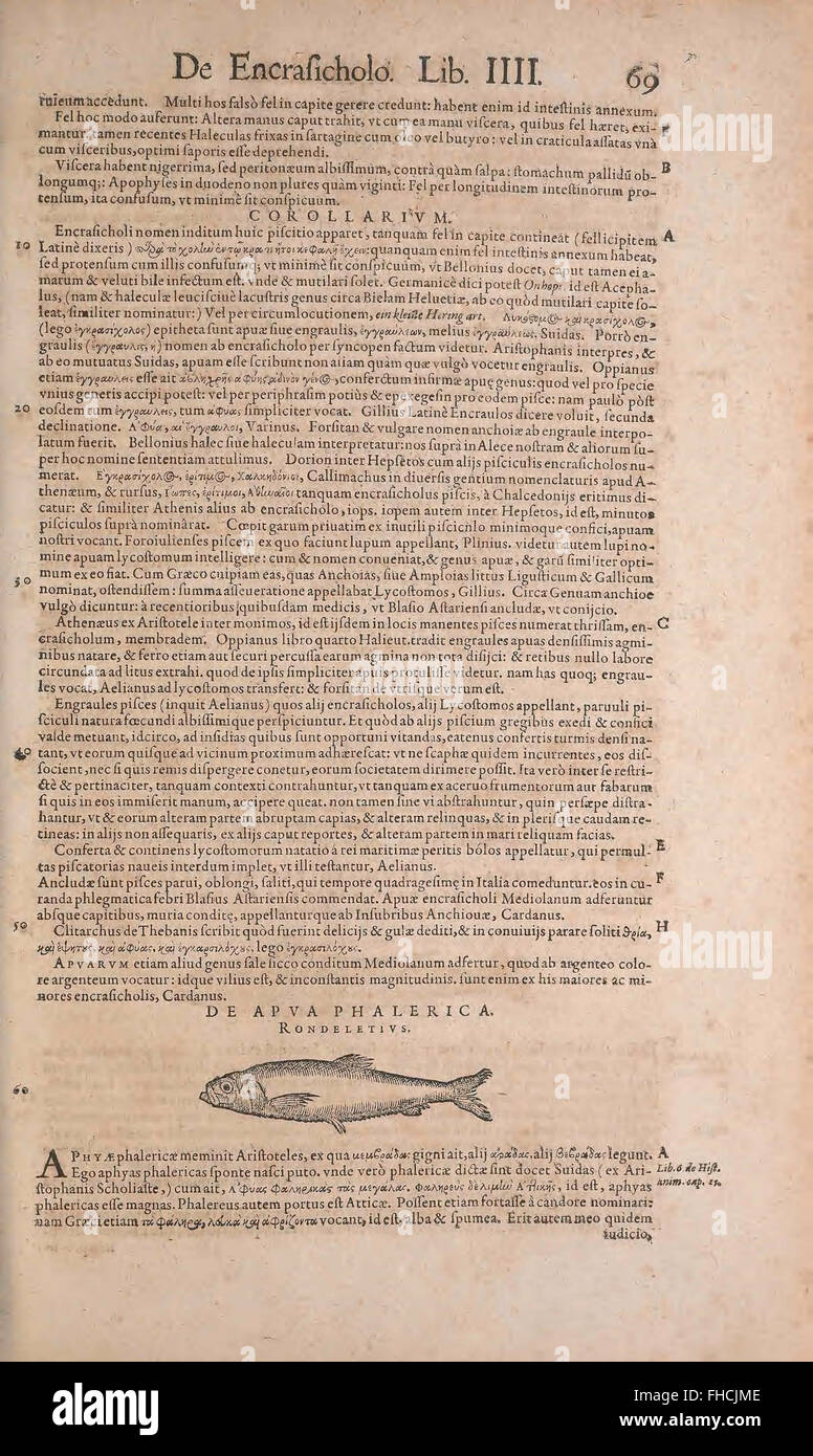 A 16th-century zoological work by Conrad Gesner, this fourth volume ...