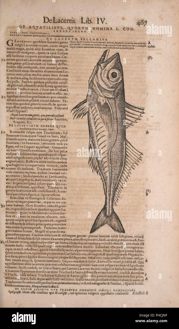 'Conradi Gesneri Medici Tigurini Historiae Animalium Liber IV' is a ...