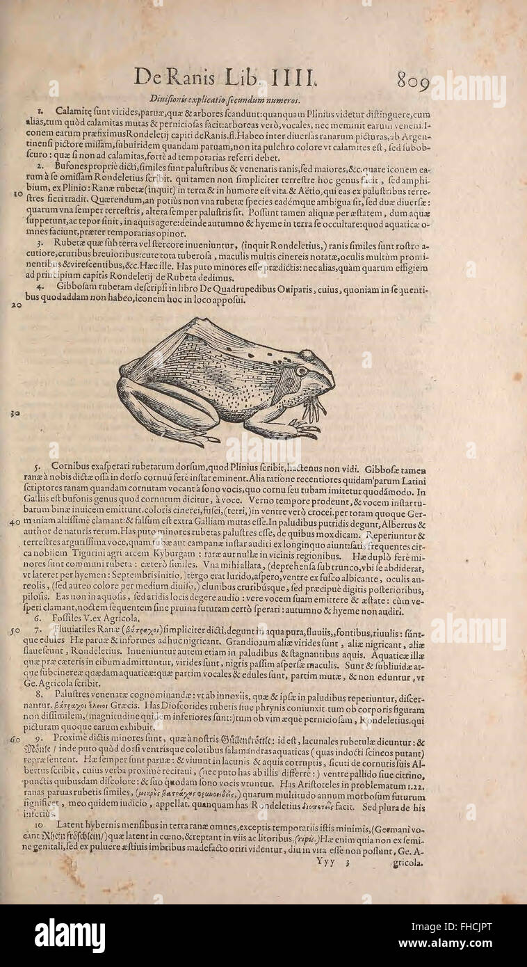 An early zoological work by Conrad Gesner, detailing fish and mollusks ...