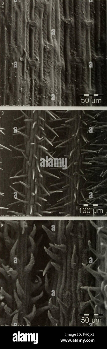 A series of scientific contributions from the United States National ...