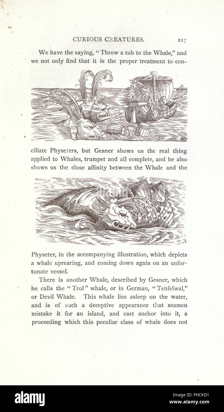 A fascinating exploration of unusual and lesser-known animal species ...