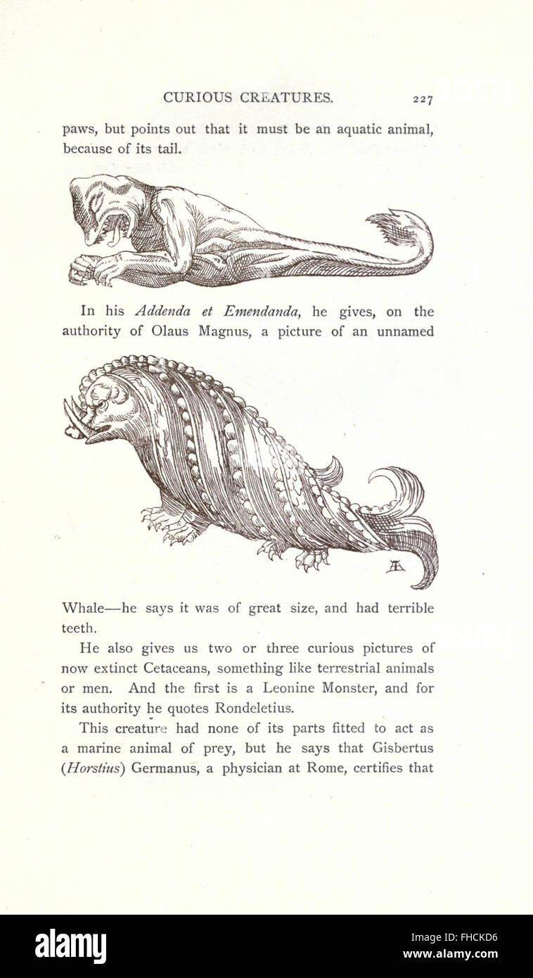 A collection of zoological curiosities, showcasing fascinating and ...