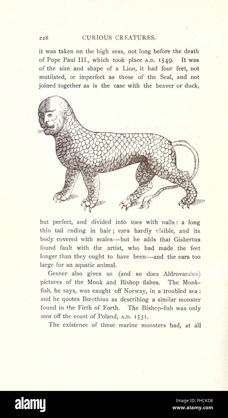 Curious creatures in zoology, University of California Libraries Stock ...