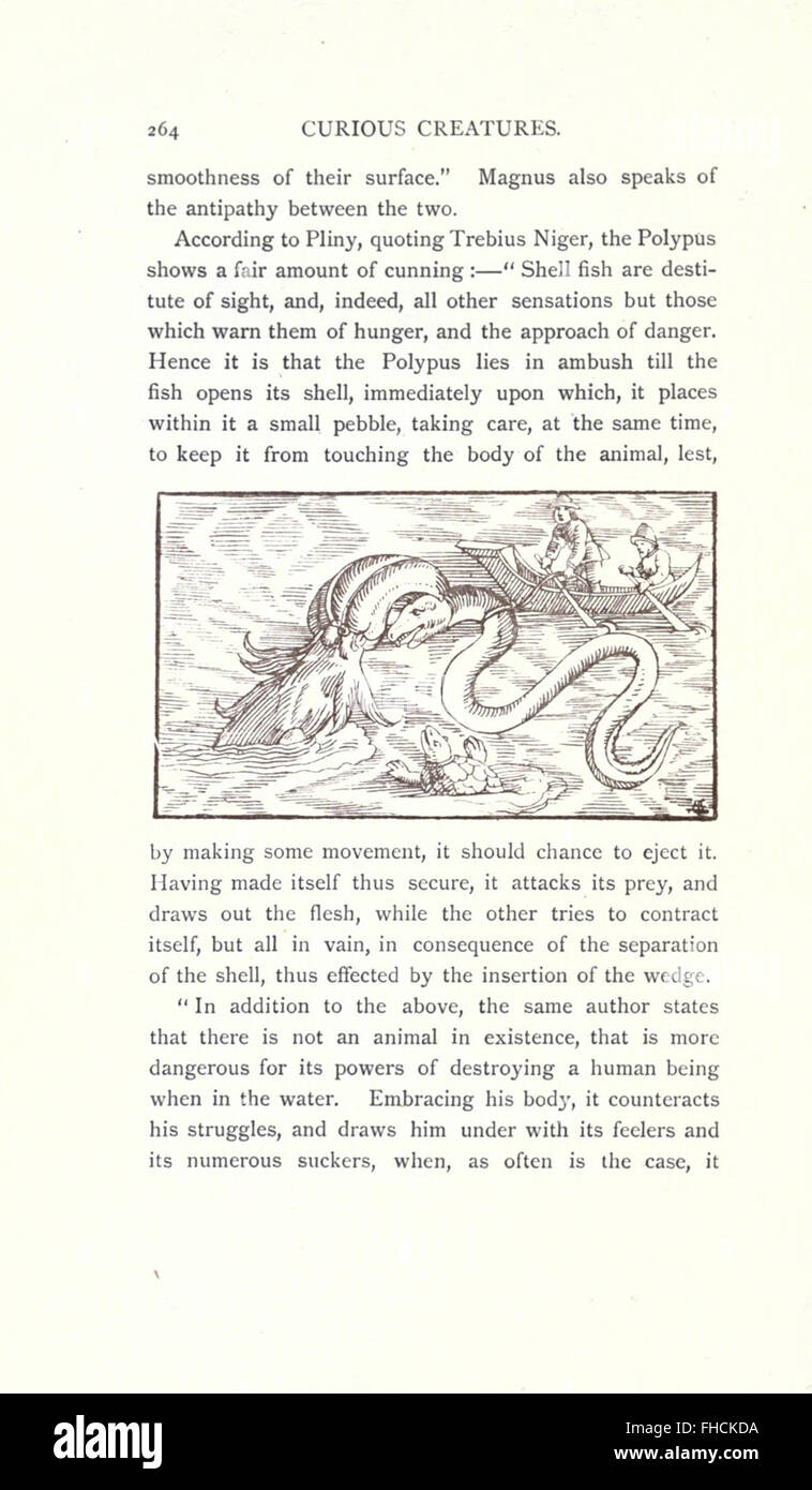 An exploration of various fascinating creatures in zoology ...