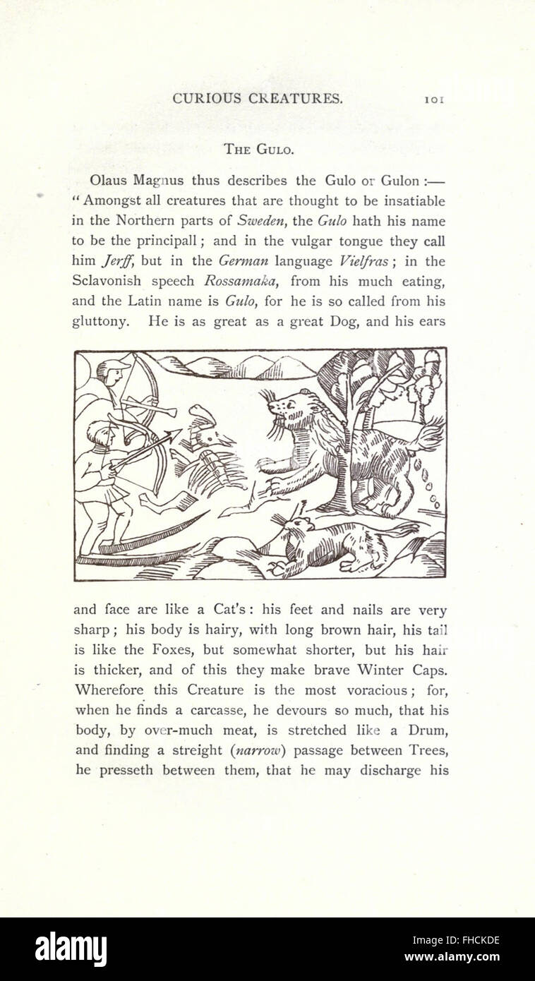 Curious Creatures in Zoology, a comprehensive study of unusual animal ...