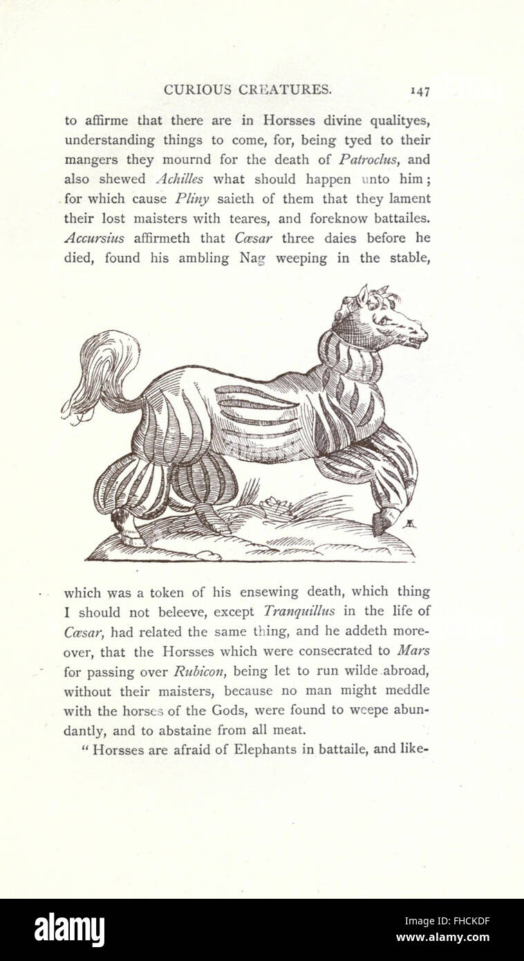 Curious creatures in zoology Stock Photo - Alamy