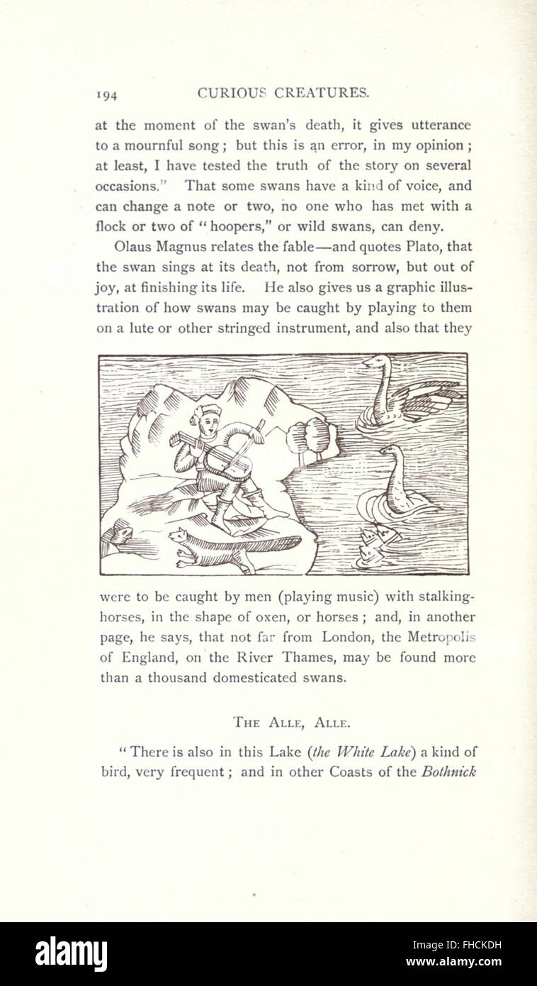 'Curious Creatures in Zoology' explores various fascinating and lesser ...