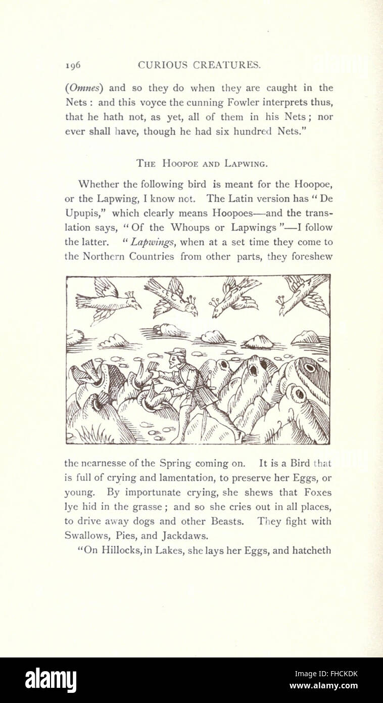 A collection of fascinating zoological creatures, documented in the ...