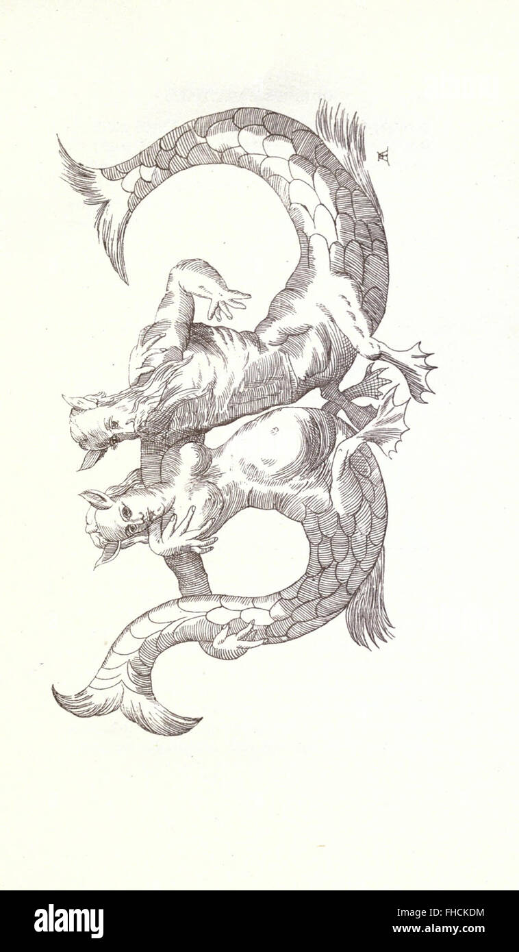 University of California Libraries (archive.org) animals Stock Photo ...