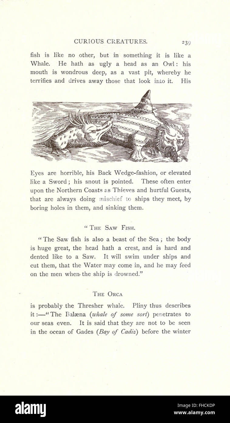 A collection of fascinating zoological studies that explore the unusual ...