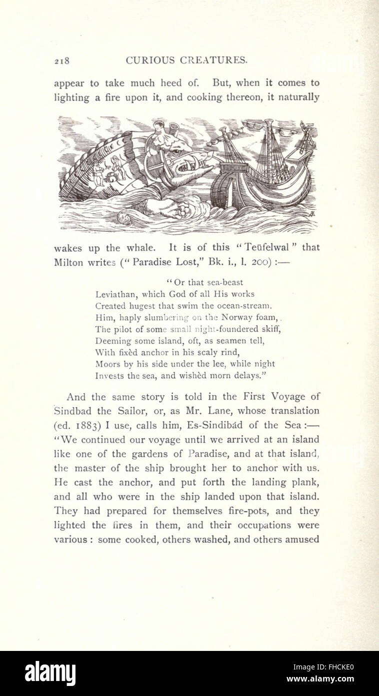 A collection of fascinating and unusual animals, highlighting their ...