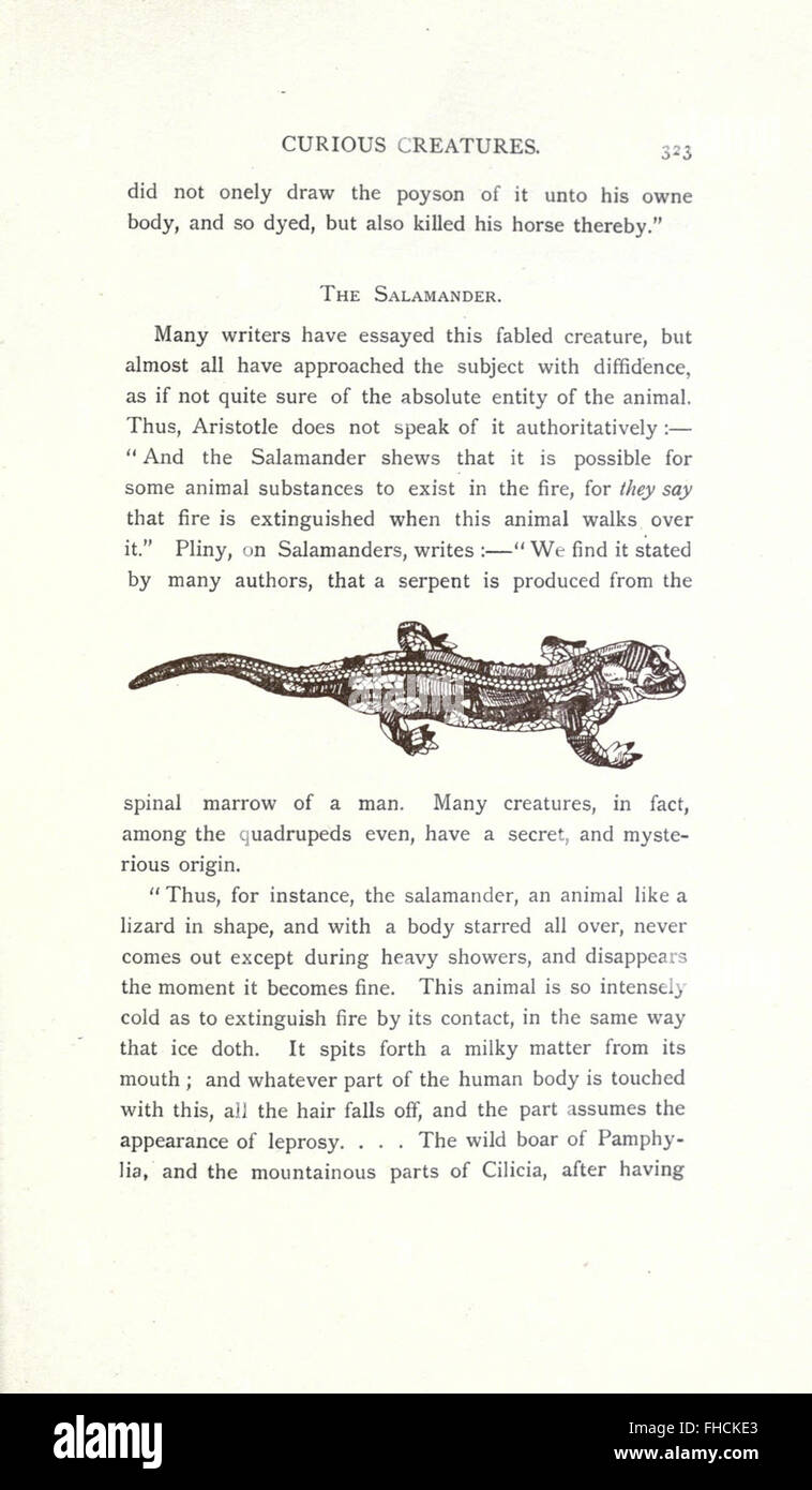 Curious creatures in zoology, University of California Libraries Stock ...
