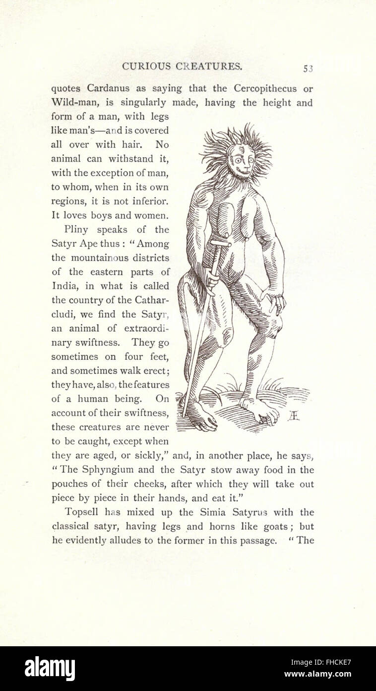 An exploration of rare and curious creatures in zoology, housed at the ...