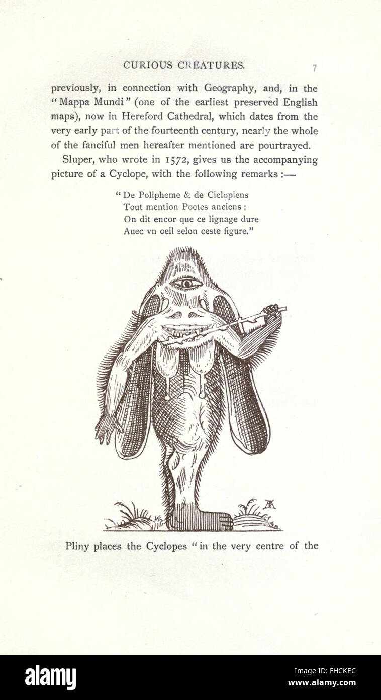 Zoological exploration of unique and intriguing animal species ...