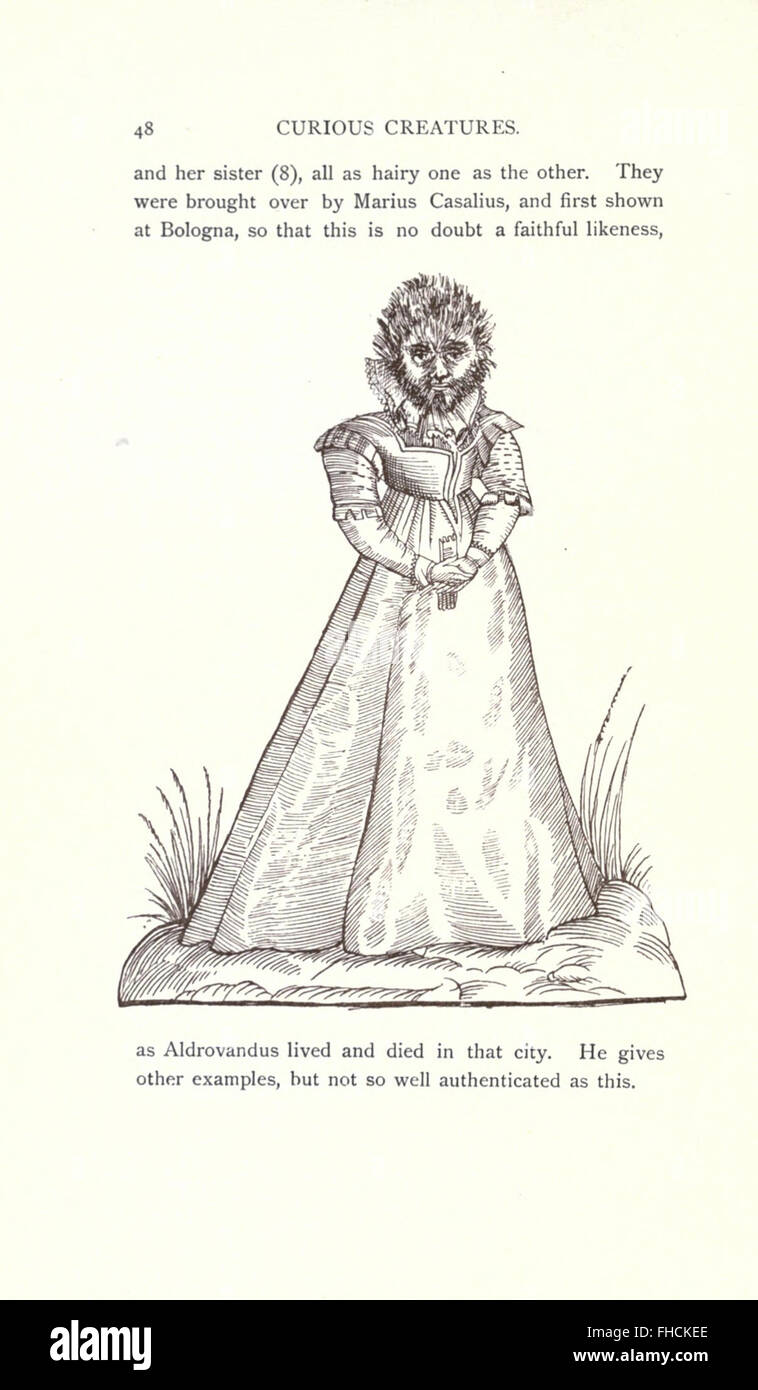 Curious creatures in zoology Stock Photo - Alamy