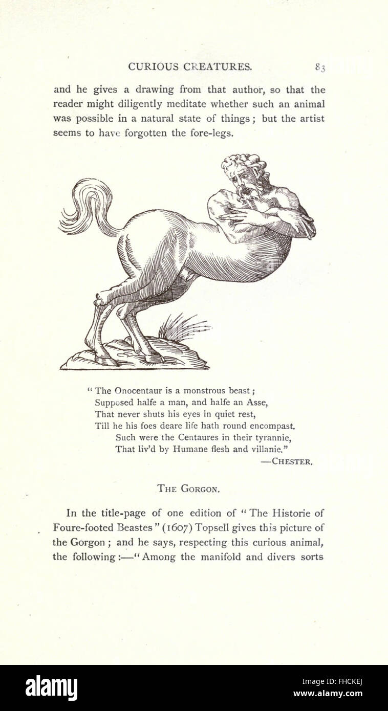 A collection of zoological studies focused on the unique and curious ...