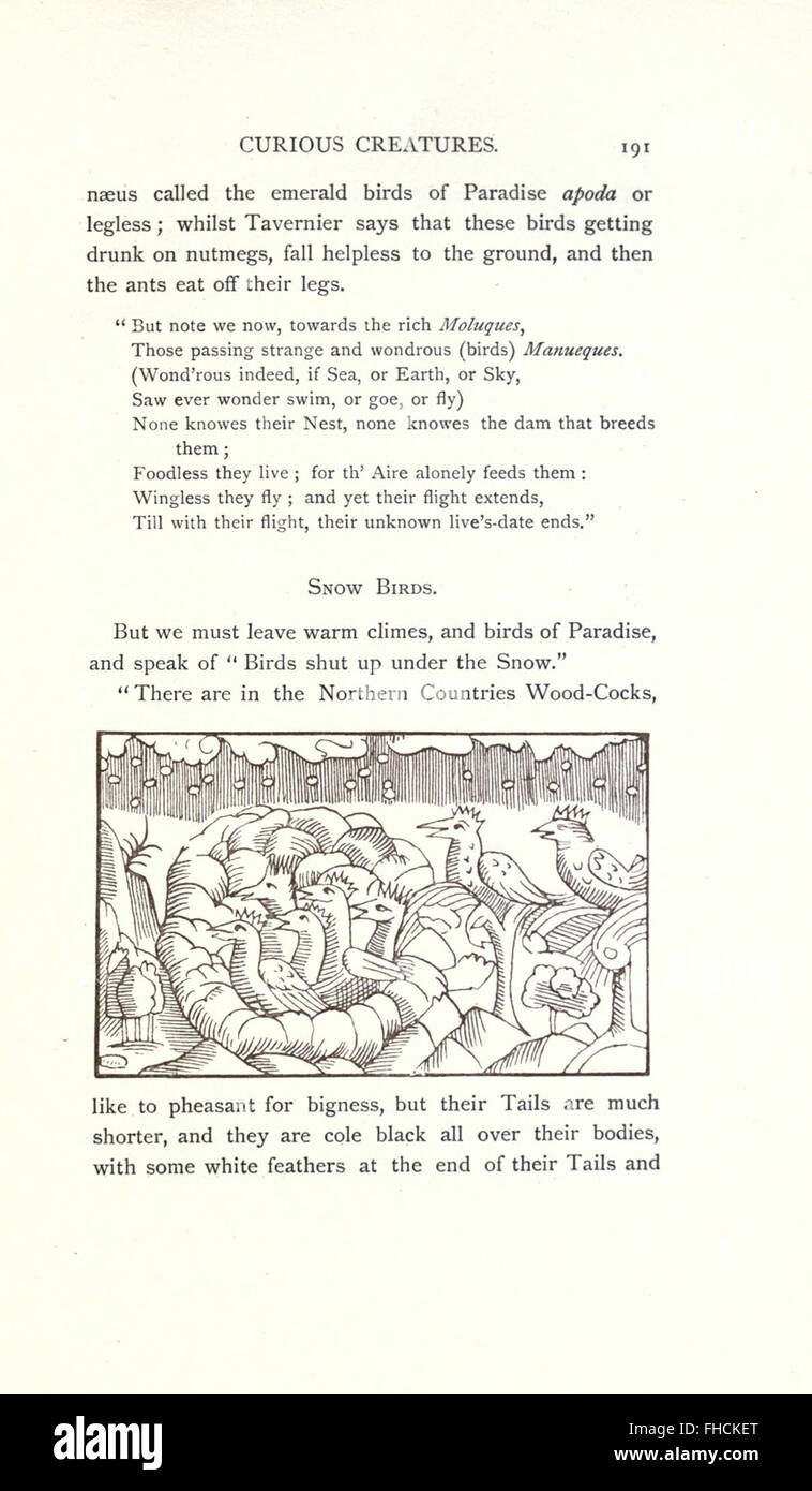 A fascinating exploration of strange and unusual creatures in zoology ...