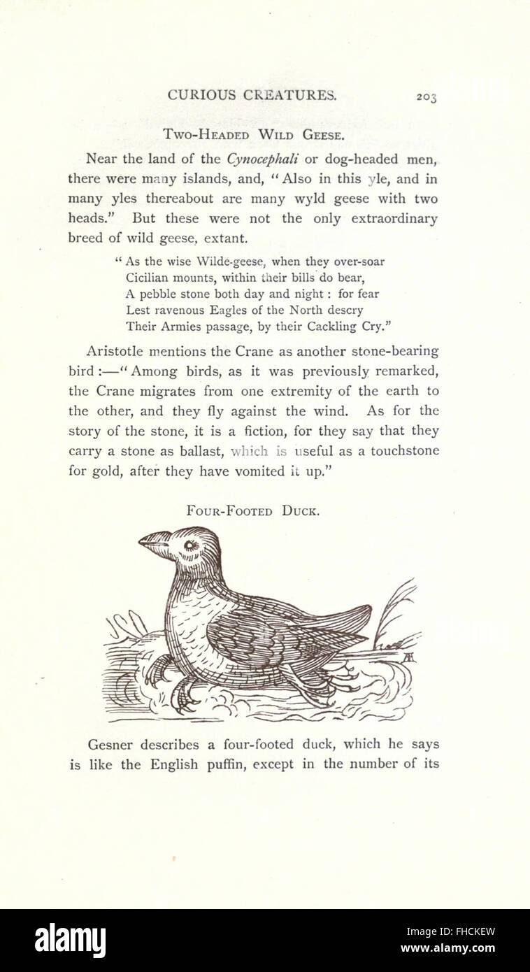 A compilation of fascinating and unusual creatures from the animal ...