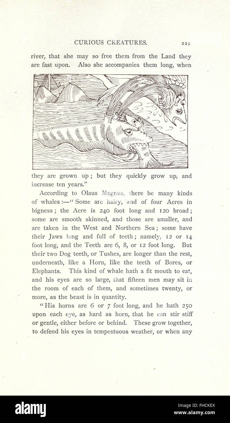 'Curious Creatures in Zoology', an intriguing collection of zoological ...