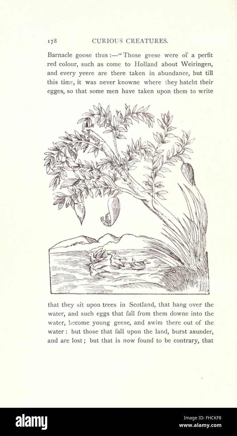 A compilation of intriguing and lesser-known creatures in the field of ...