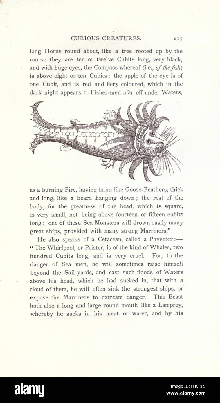 A collection of fascinating and unusual animals studied within zoology ...