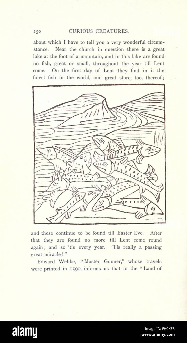 A work exploring unusual and lesser-known animals in the field of ...