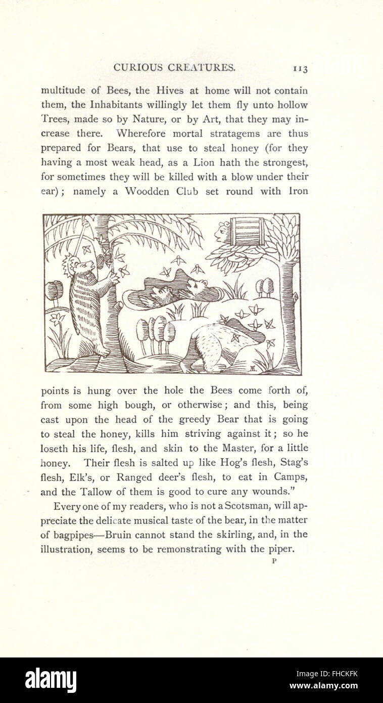 A collection of intriguing animal species, showcasing unique and lesser ...