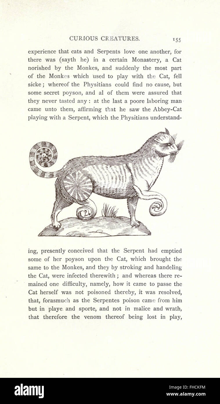 A collection focusing on the fascinating and lesser-known creatures in ...