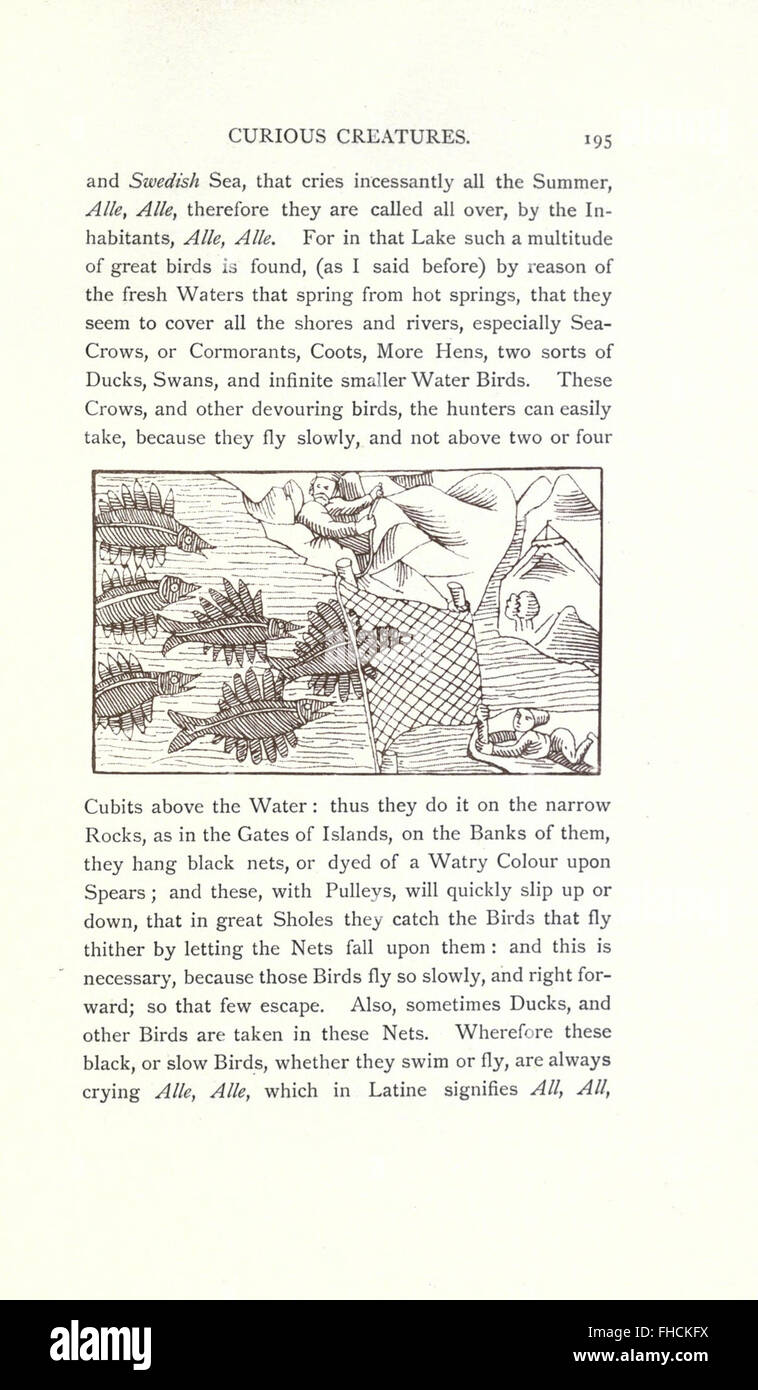 A collection of studies documenting unusual and lesser-known creatures ...