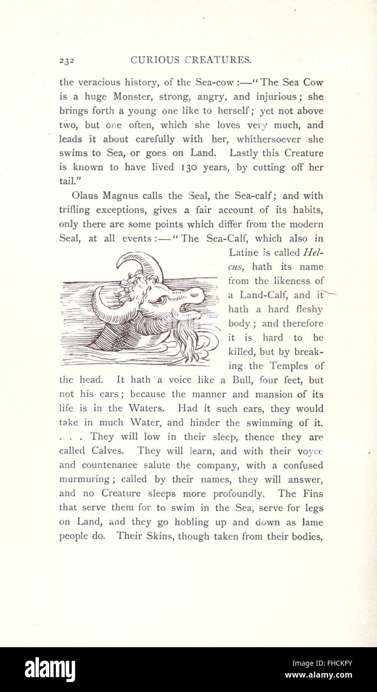 Curious Creatures in Zoology Stock Photo - Alamy