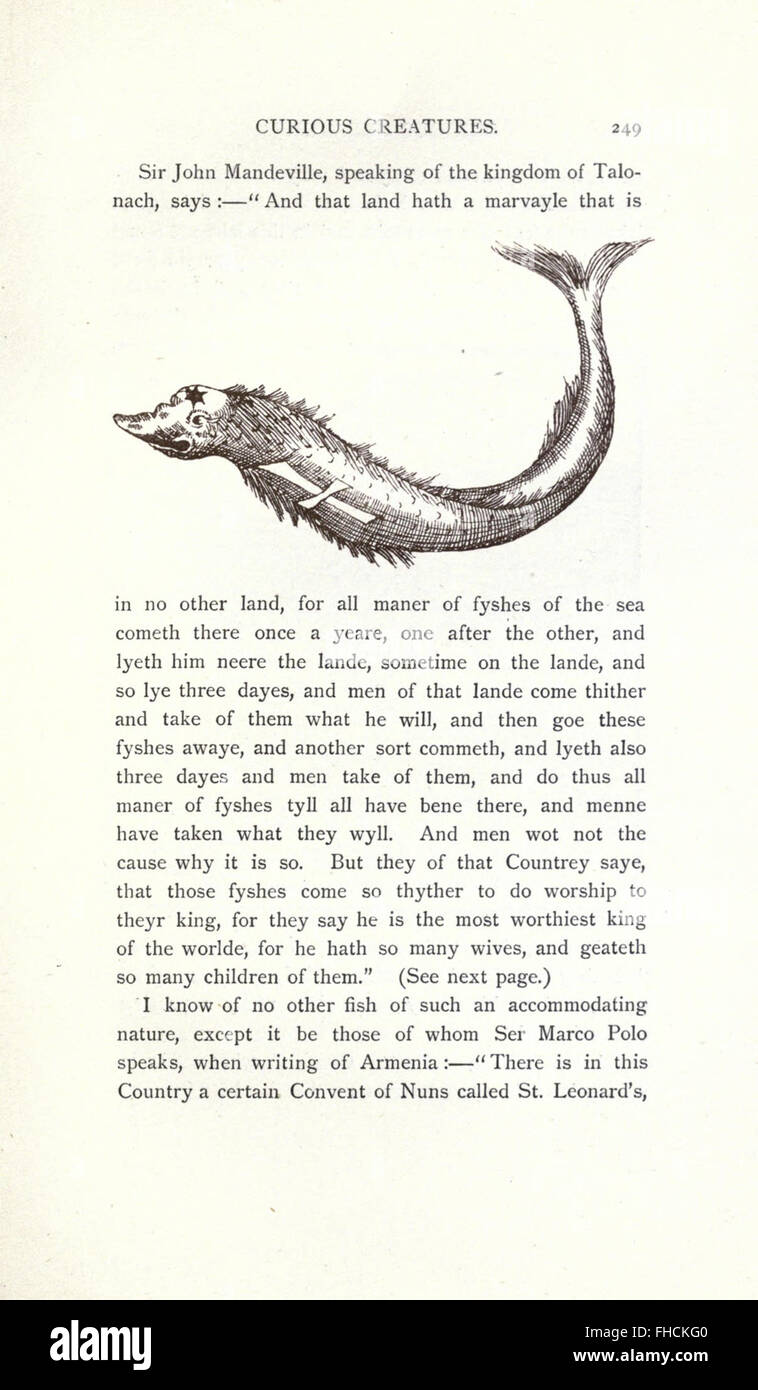 A fascinating exploration of unique and unusual creatures in zoology ...