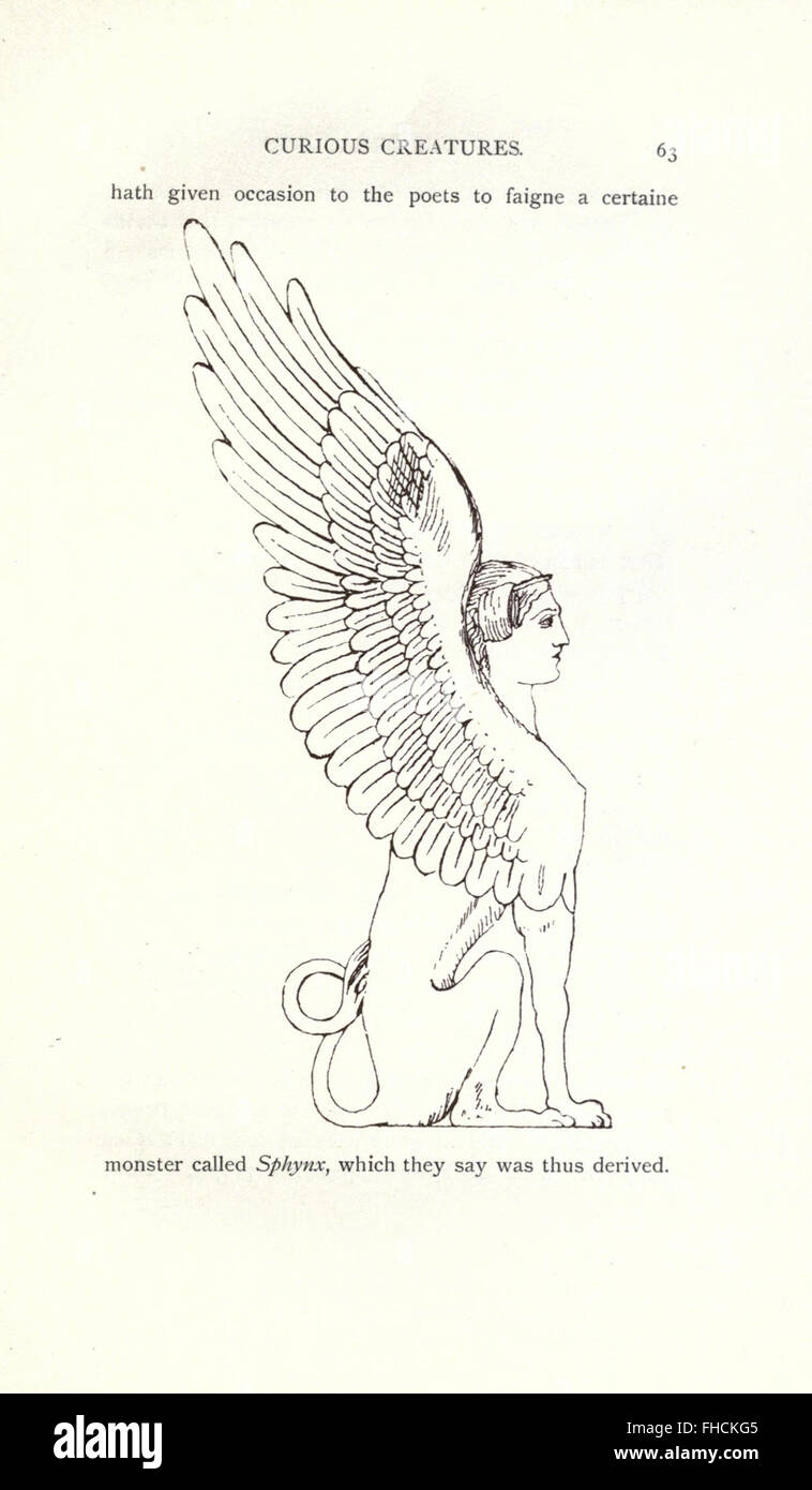 A collection of historical accounts and illustrations of unusual and ...