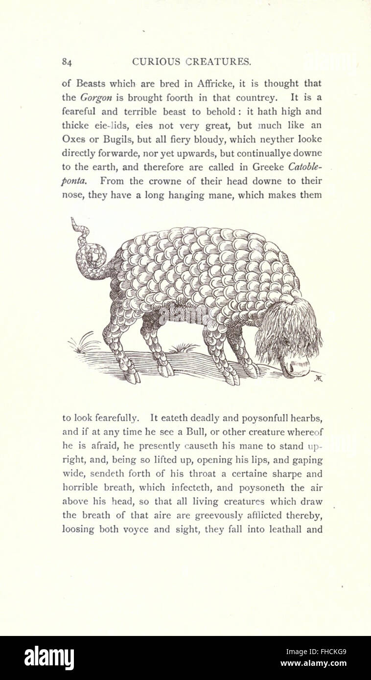 Curious Creatures in Zoology, University of California Libraries ...