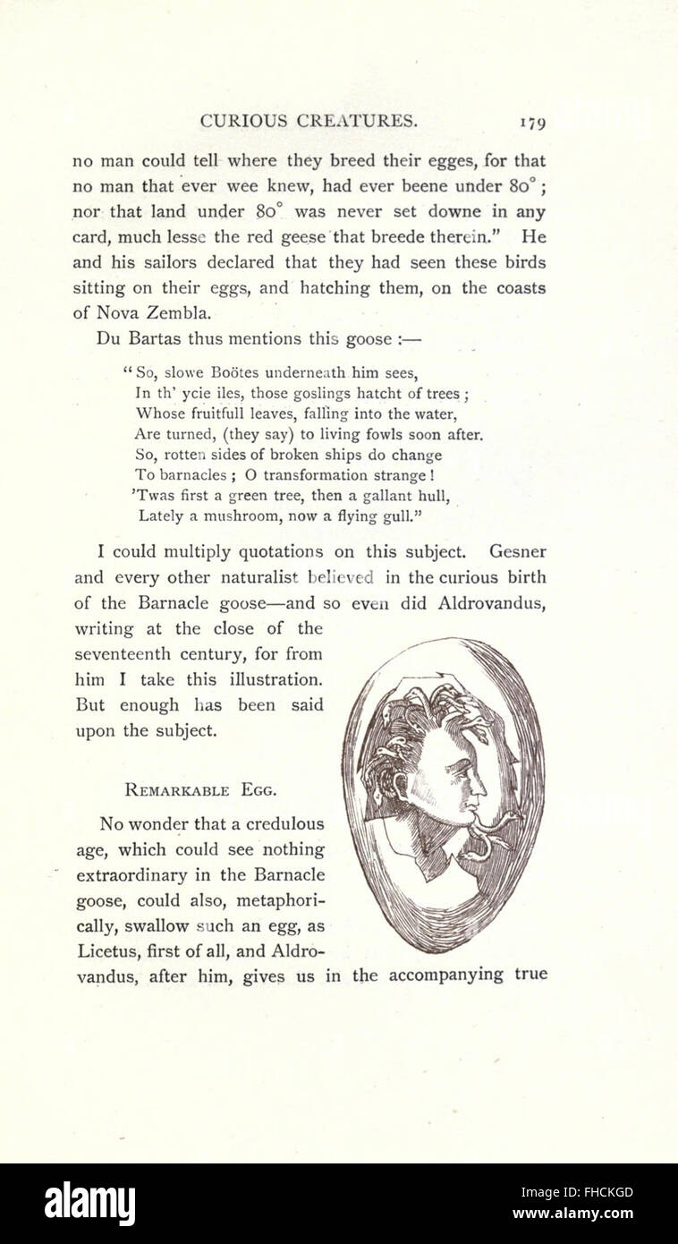 An exploration of unique and fascinating creatures from the animal ...