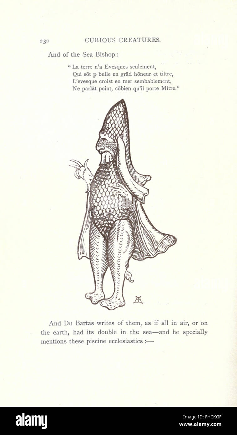 A collection of curious creatures in zoology, exploring unusual animal ...