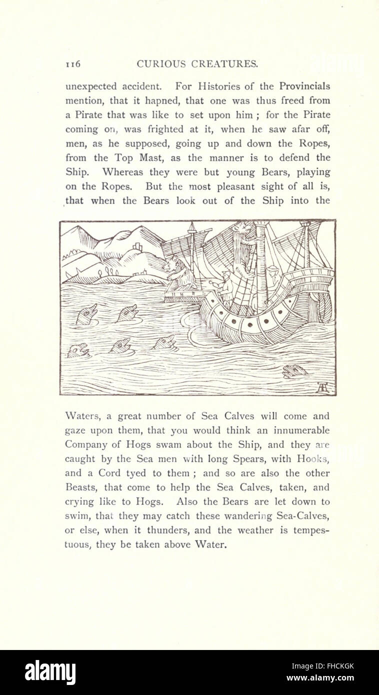 An exploration of fascinating and lesser-known creatures in the field ...