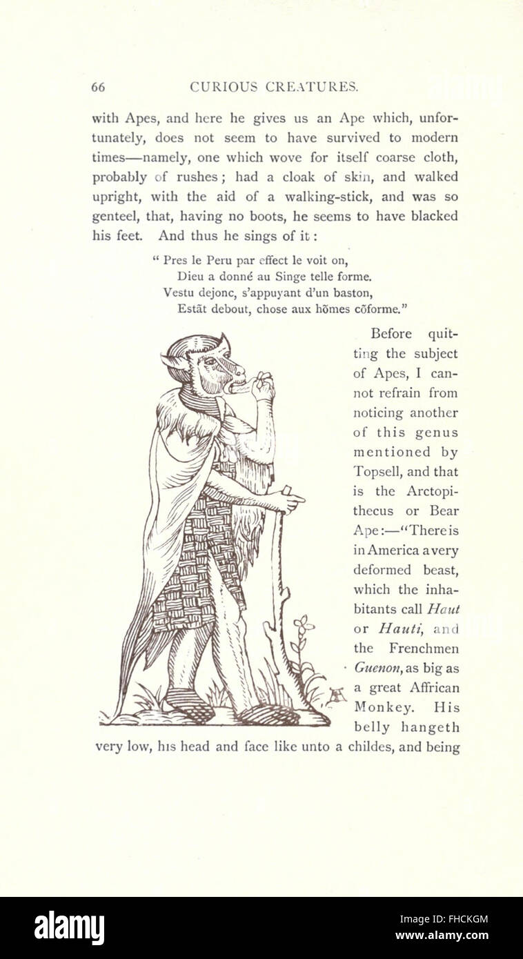 Curious Creatures in Zoology, a study on unusual and lesser-known ...