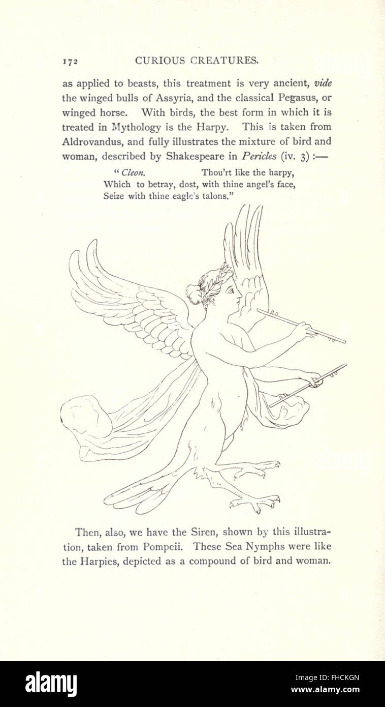 A work on unusual and curious animals from the field of zoology ...