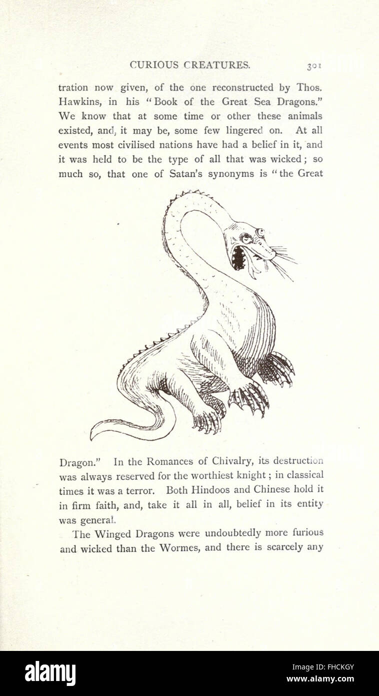 A look into the fascinating world of unusual creatures in zoology ...