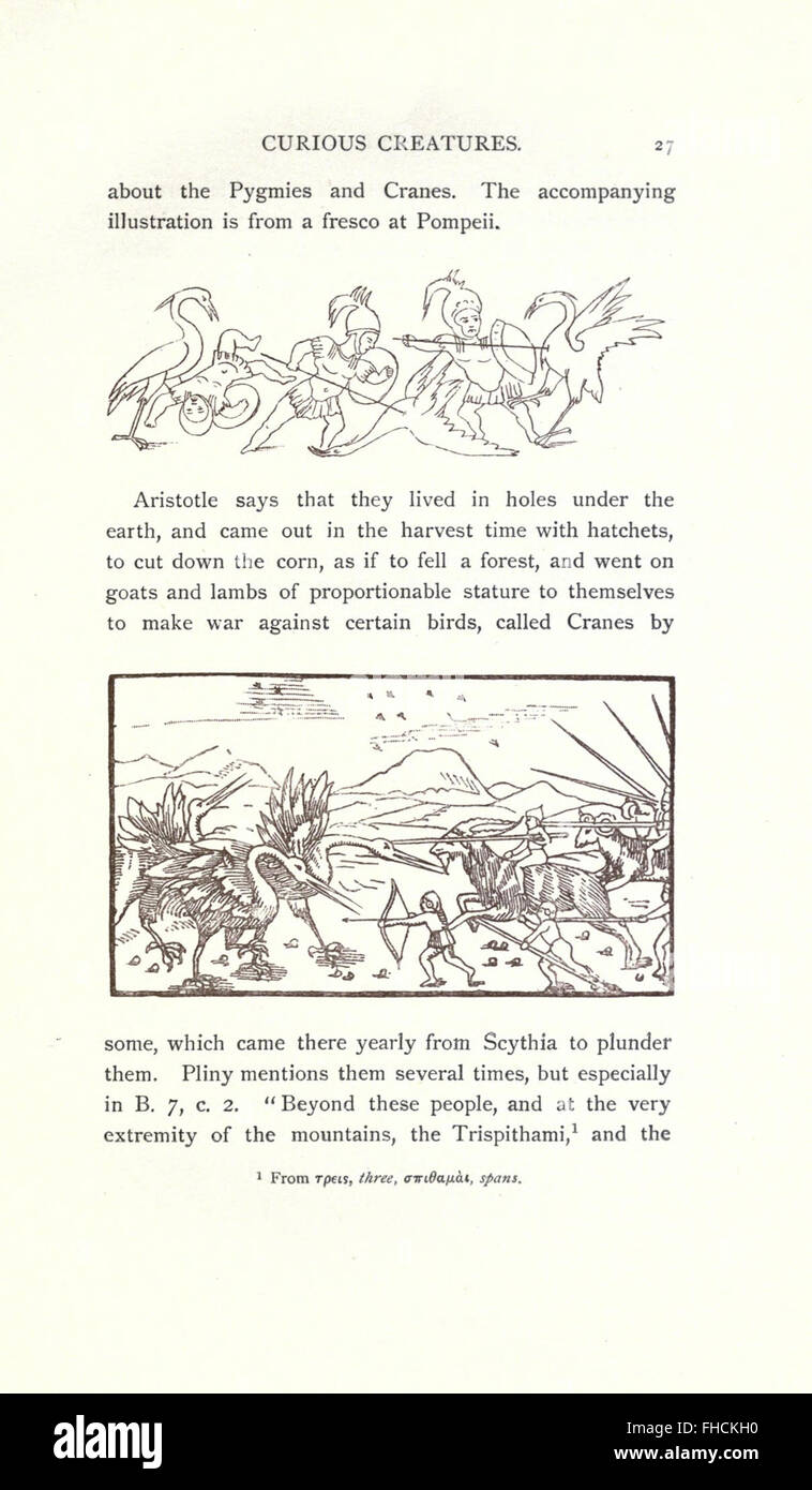 A collection of fascinating zoological creatures and animals from ...
