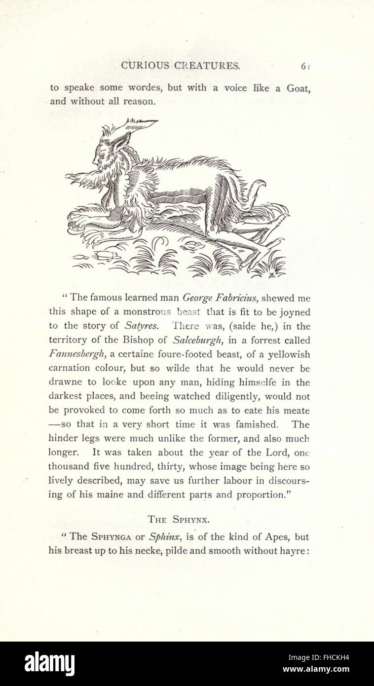 Curious creatures in zoology Stock Photo - Alamy